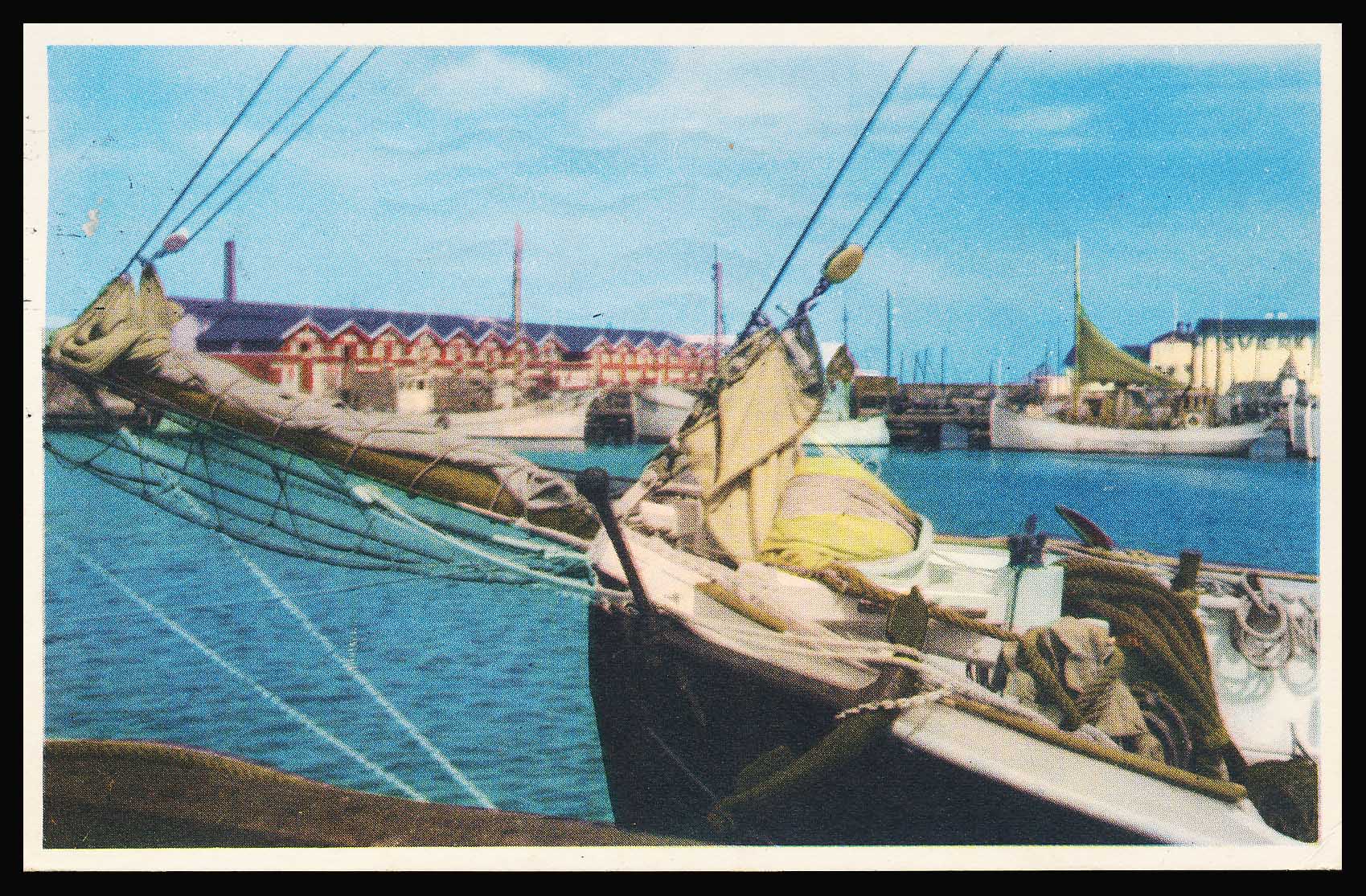 Danmark Postkort 9900 Fredrikshavn - Samleren